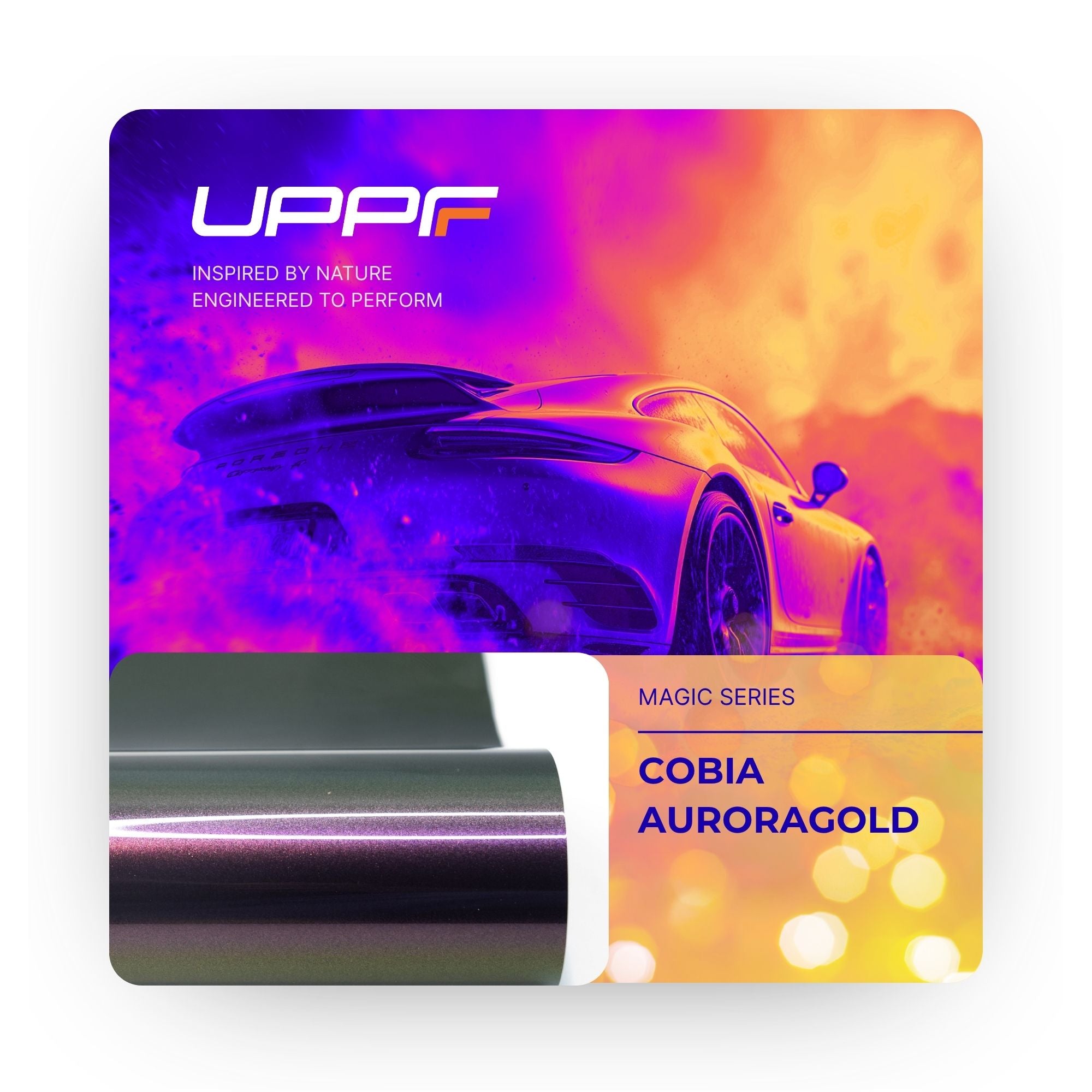 Cobia Auroragold CM7002 – UPPF International Pte. Ltd